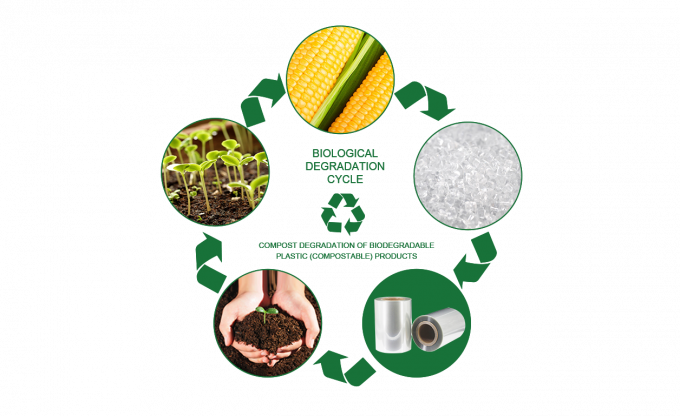 PLA Bio Based Clear Shrink Film Biodegradable Bioplastic Film To ...